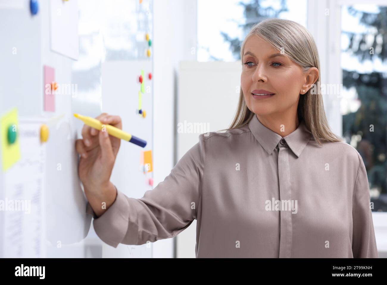 Professor explaining something with marker at whiteboard in classroom ...