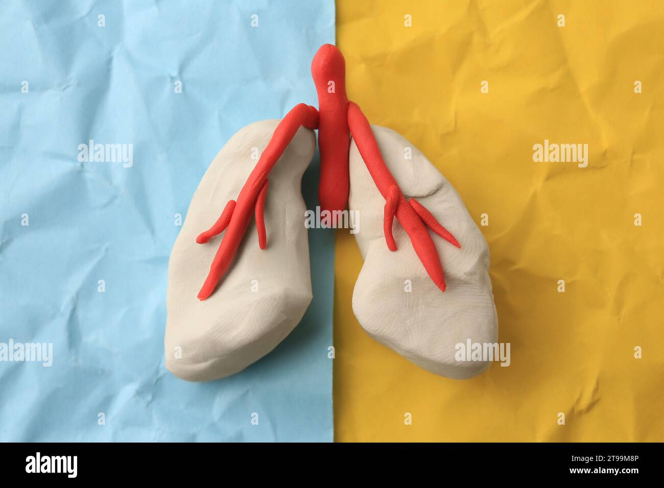 Human lungs made of plasticine on color crumpled paper, top view Stock ...