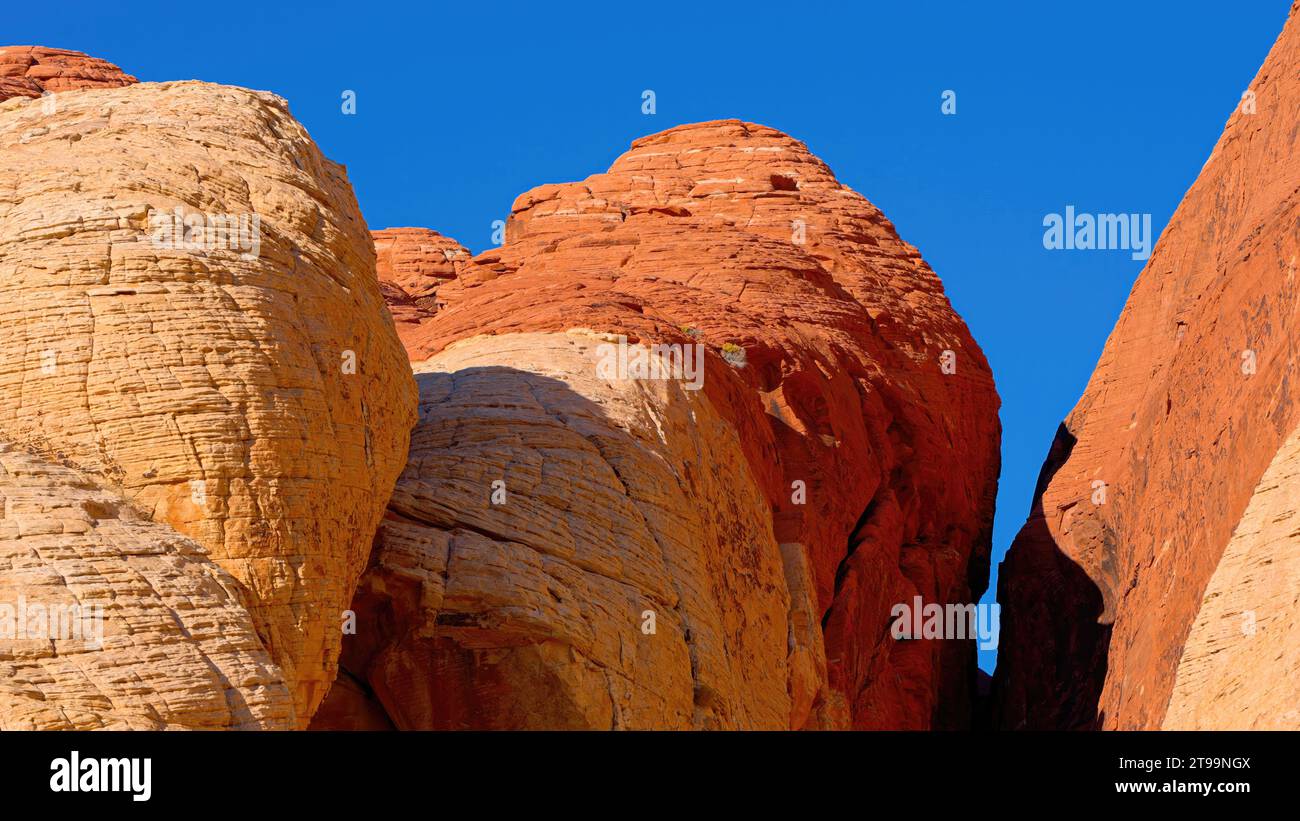 The red and yellow sandstones of Red Rock Canyon in Nevada Stock Photo ...