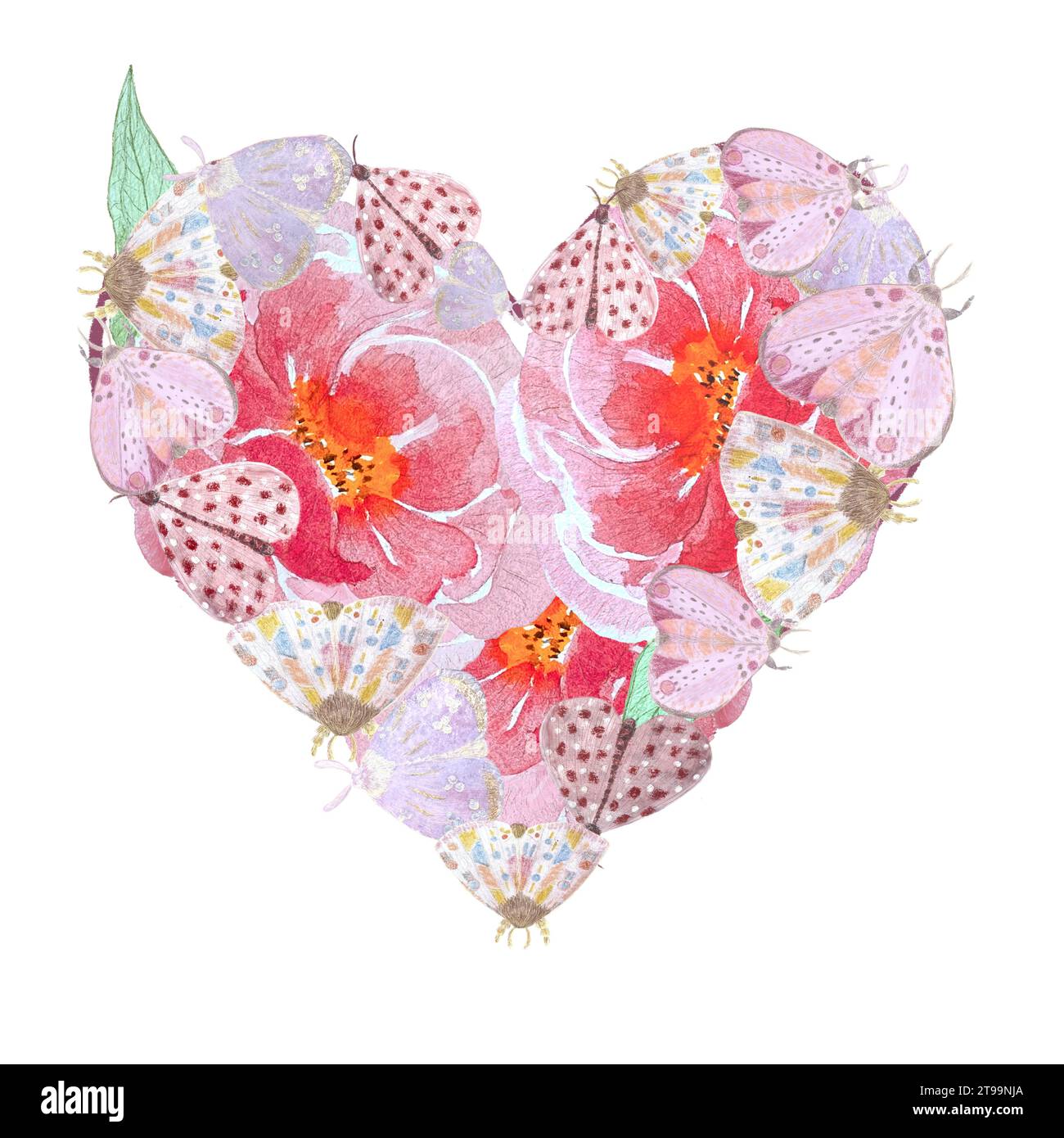 Hand painted watercolor delicate butterflies peonies heart isolated on ...