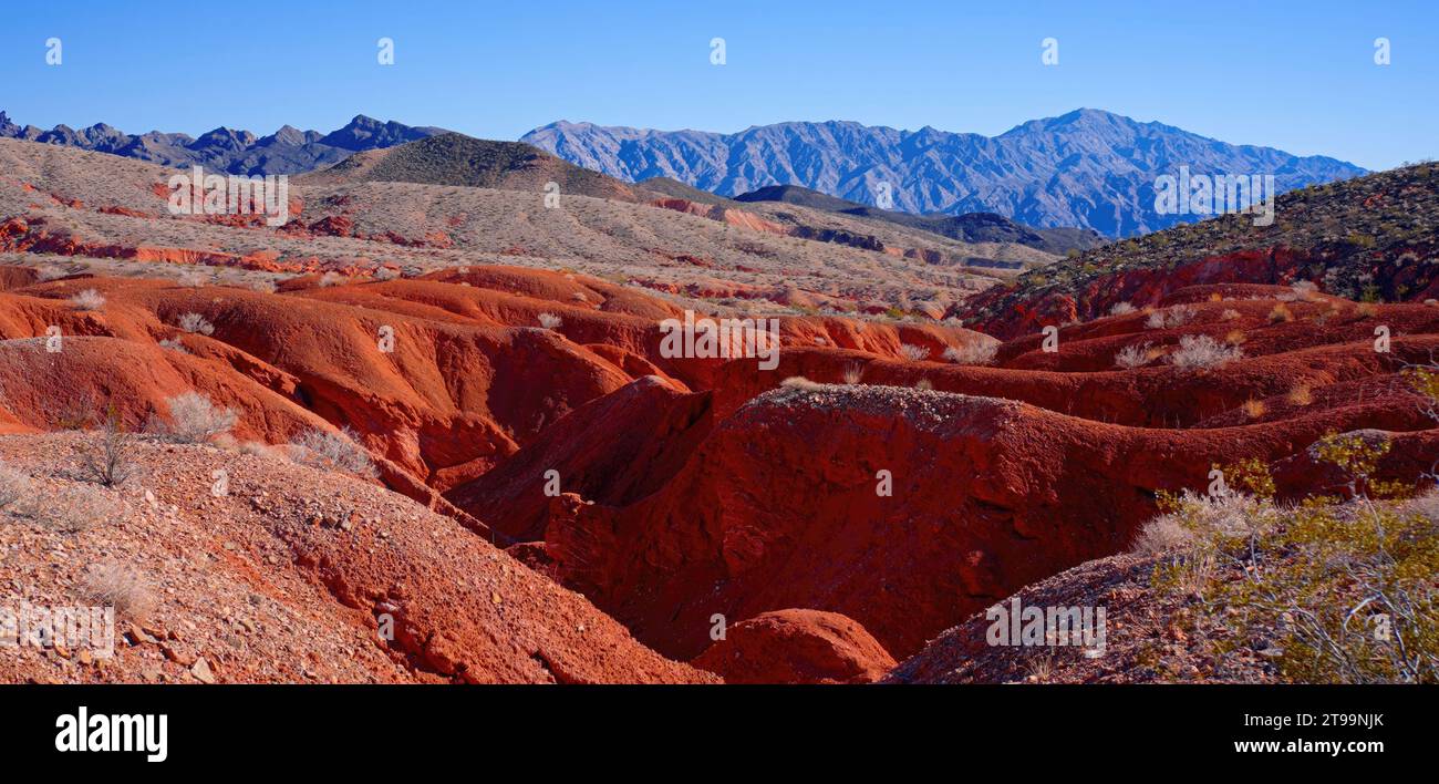 The typical landscape with red rocks and sandstones in the Arizona ...