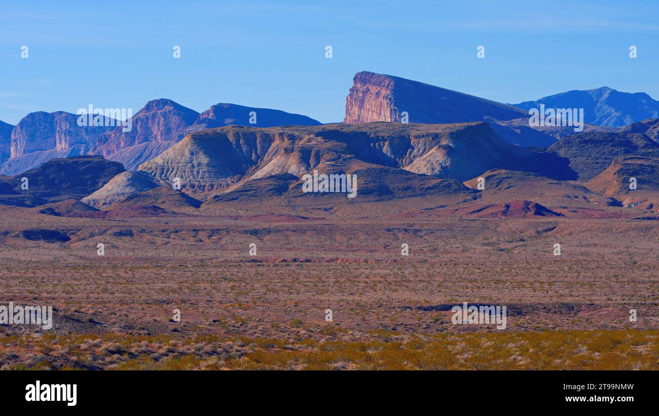 The typical landscape with red rocks and sandstones in the Arizona ...