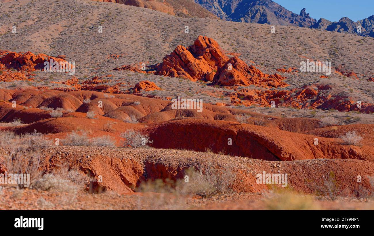 The typical landscape with red rocks and sandstones in the Arizona ...