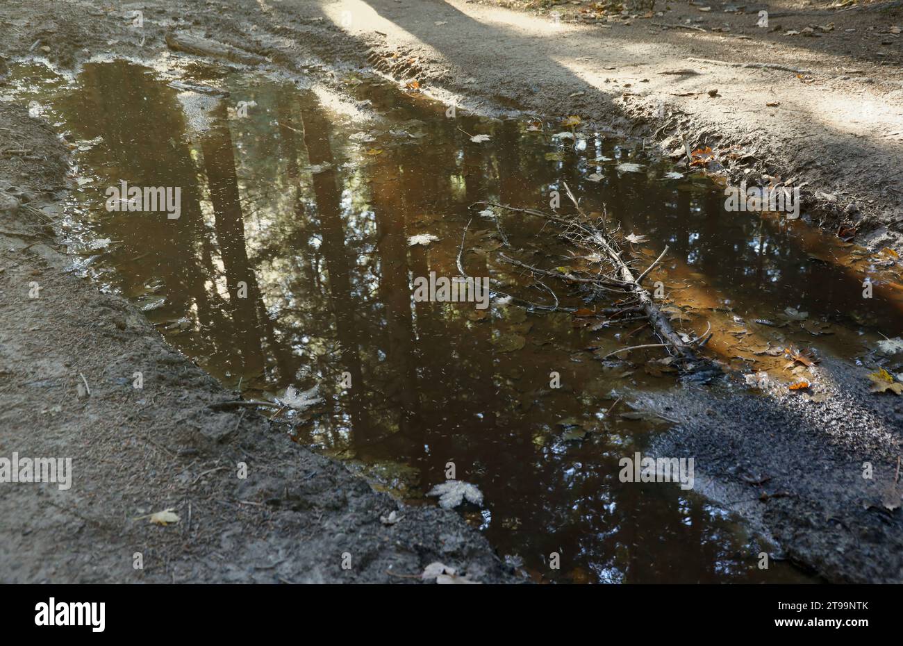 Rain water in tractor tracks hi-res stock photography and images - Alamy
