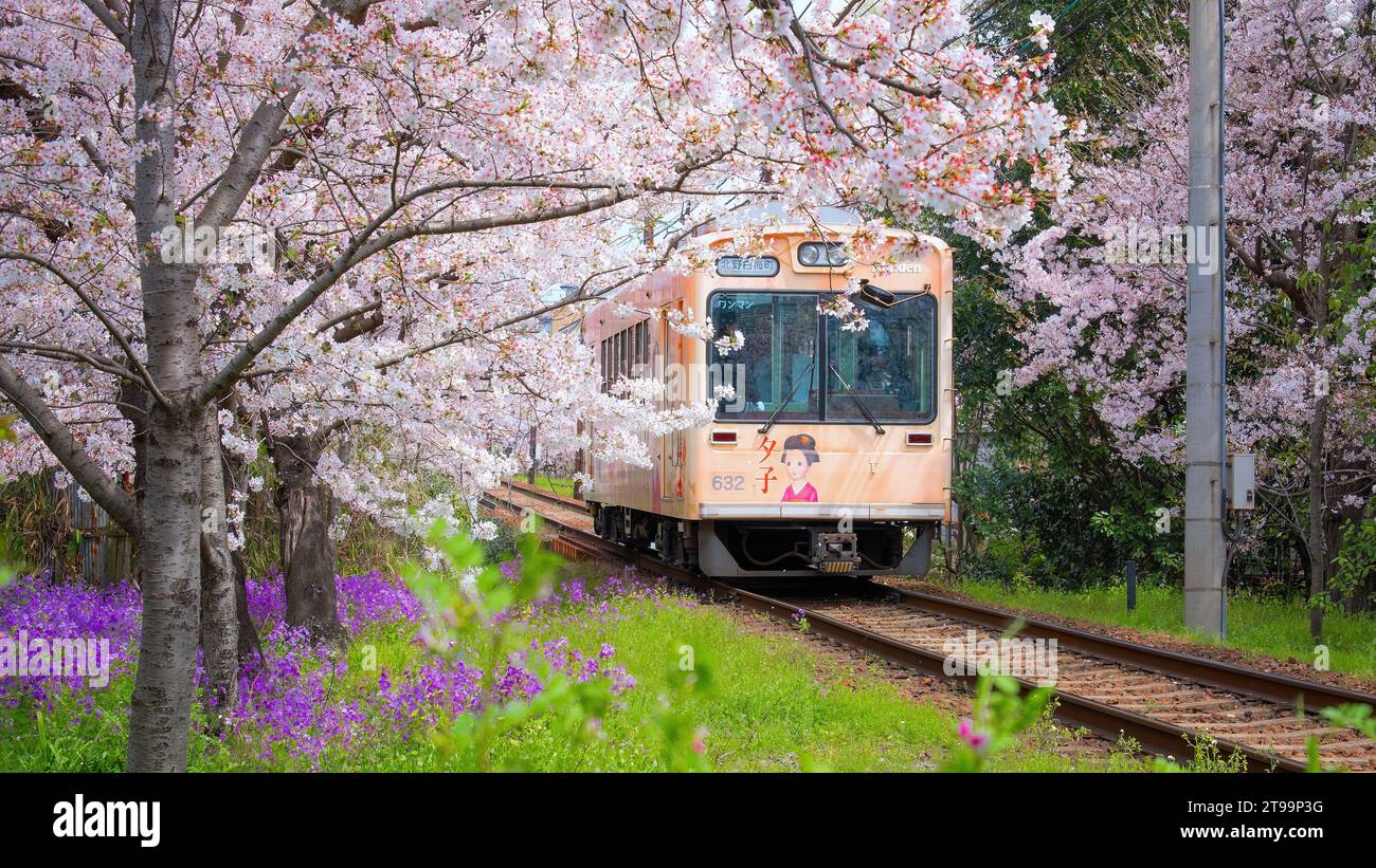 Kyoto, Japan - March 31 2023: Keifuku Tram is operated by Keifuku ...