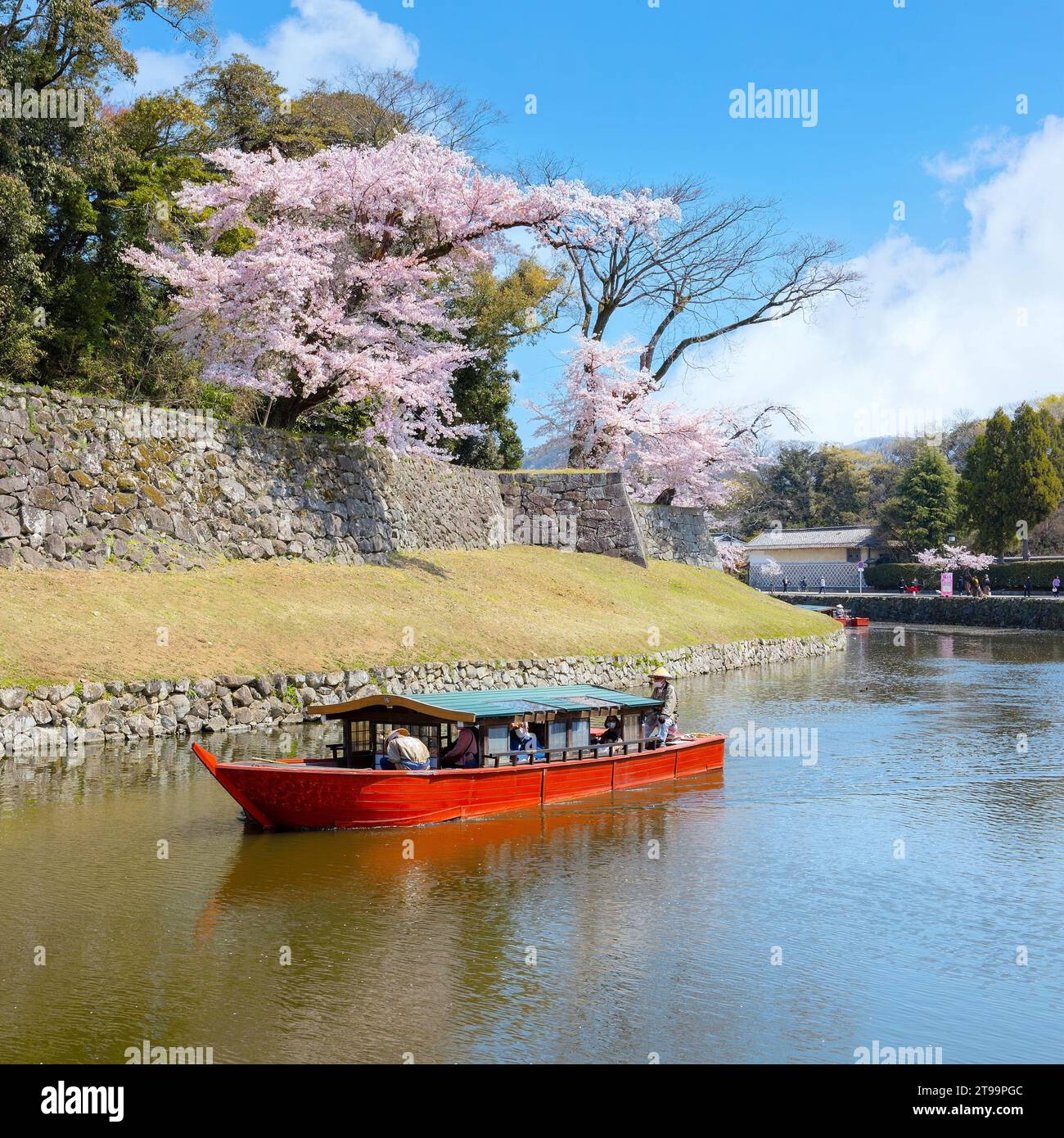 Yakatabune sakura hi-res stock photography and images - Alamy