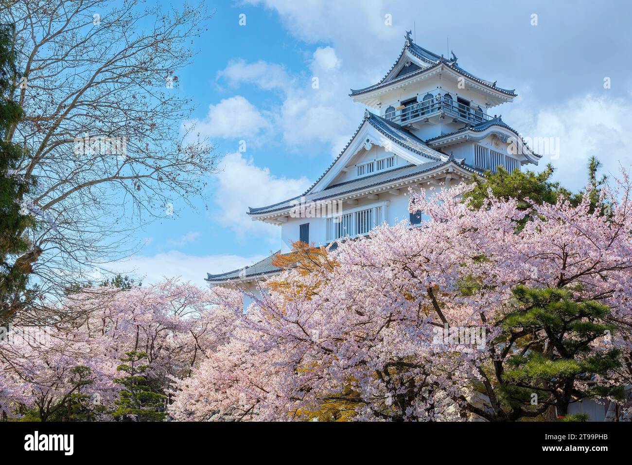 Shiga, Japan - April 3 2023: Nagahama Castle built by feudal lord ...