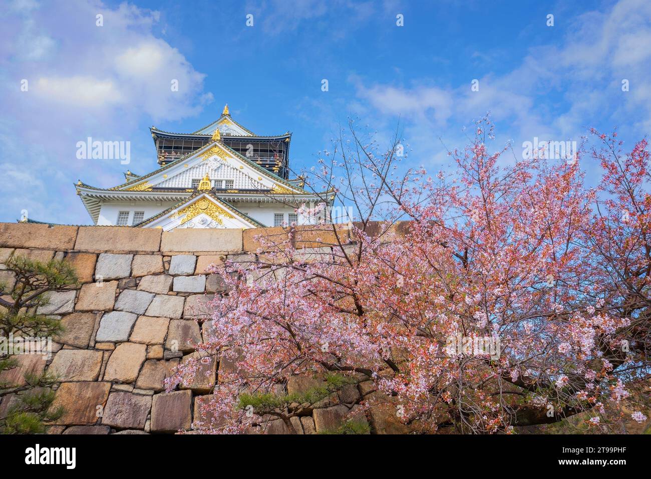 Osaka, Japan - April 4 2023: Osaka Castle dates back to 1583, it's one ...
