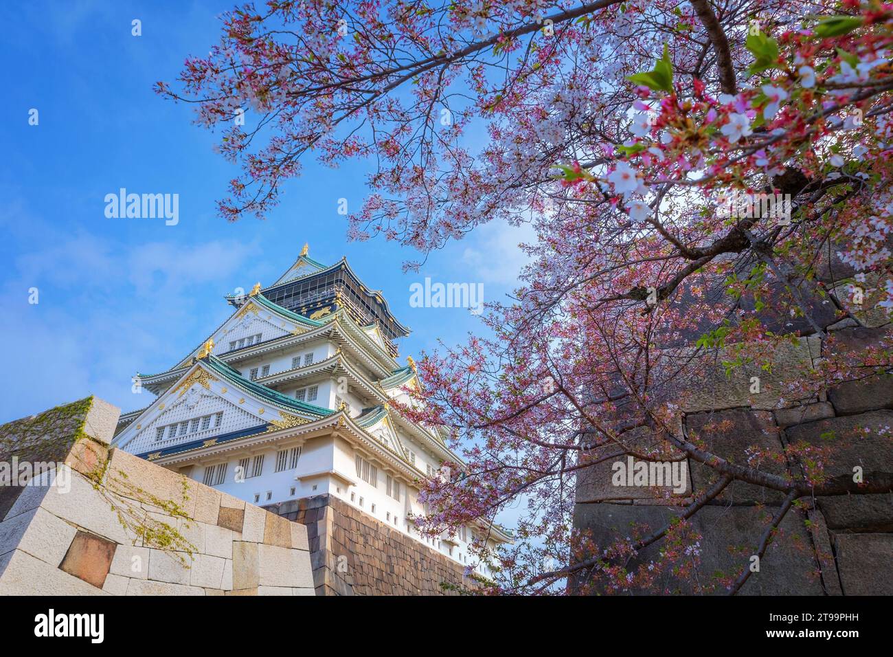 Osaka, Japan - April 4 2023: Osaka Castle dates back to 1583, it's one ...
