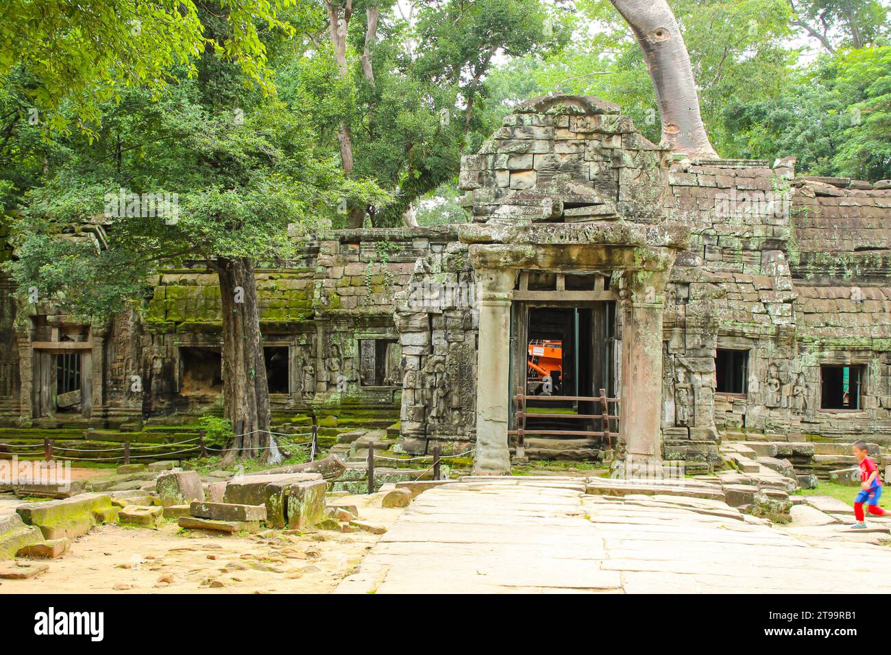 Ta Prohm temple in the morning light. Part of the Angkor Wat complex ...