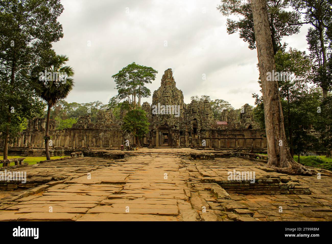 Cambodia buddha under tree hi-res stock photography and images - Alamy