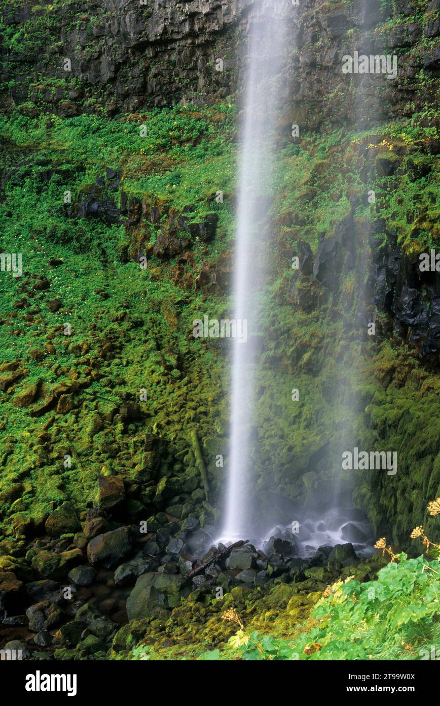 Watson Falls, Rogue-Umpqua National Scenic Byway, Umpqua National ...