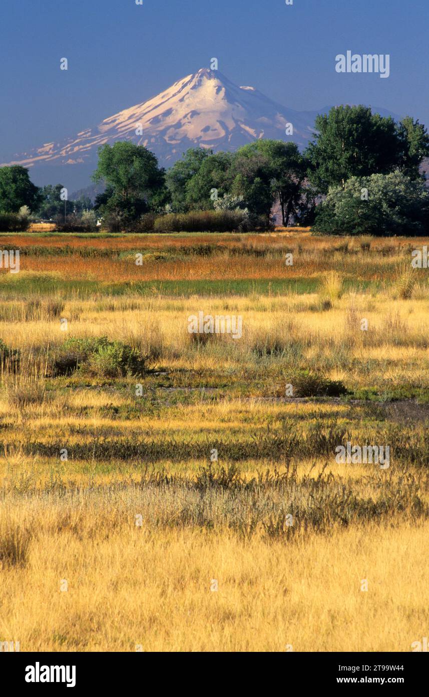Mt Shasta, Klamath Wildlife Area, Volcano Legacy National Scenic Byway ...