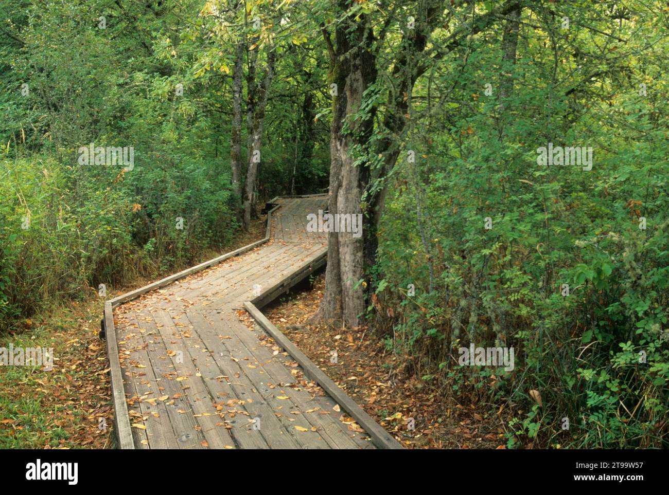 Jackson frazier wetland park hi-res stock photography and images - Alamy