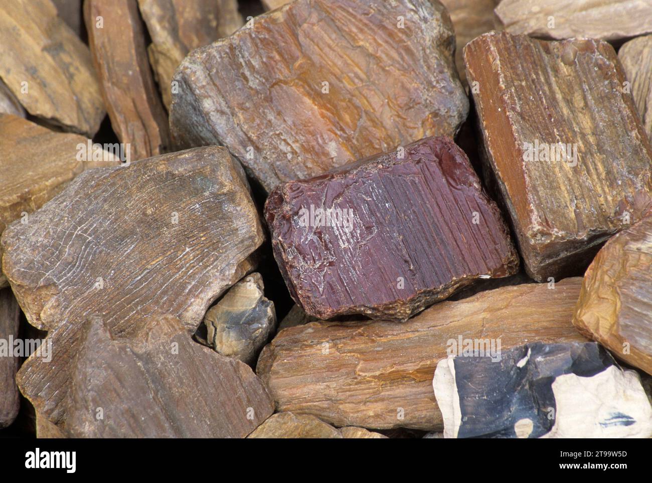 County crabtree hi-res stock photography and images - Alamy