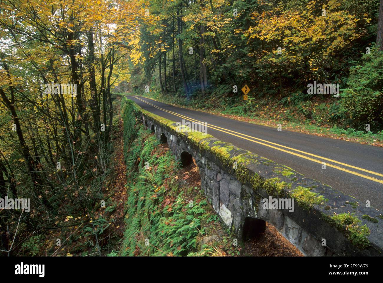 Historic Columbia River Highway, Mt Hood National Forest, Columbia ...