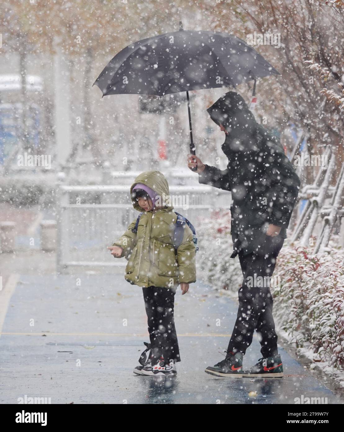 Yantai, China. 24th Nov, 2023. YANTAI, CHINA - NOVEMBER 24, 2023 - A ...