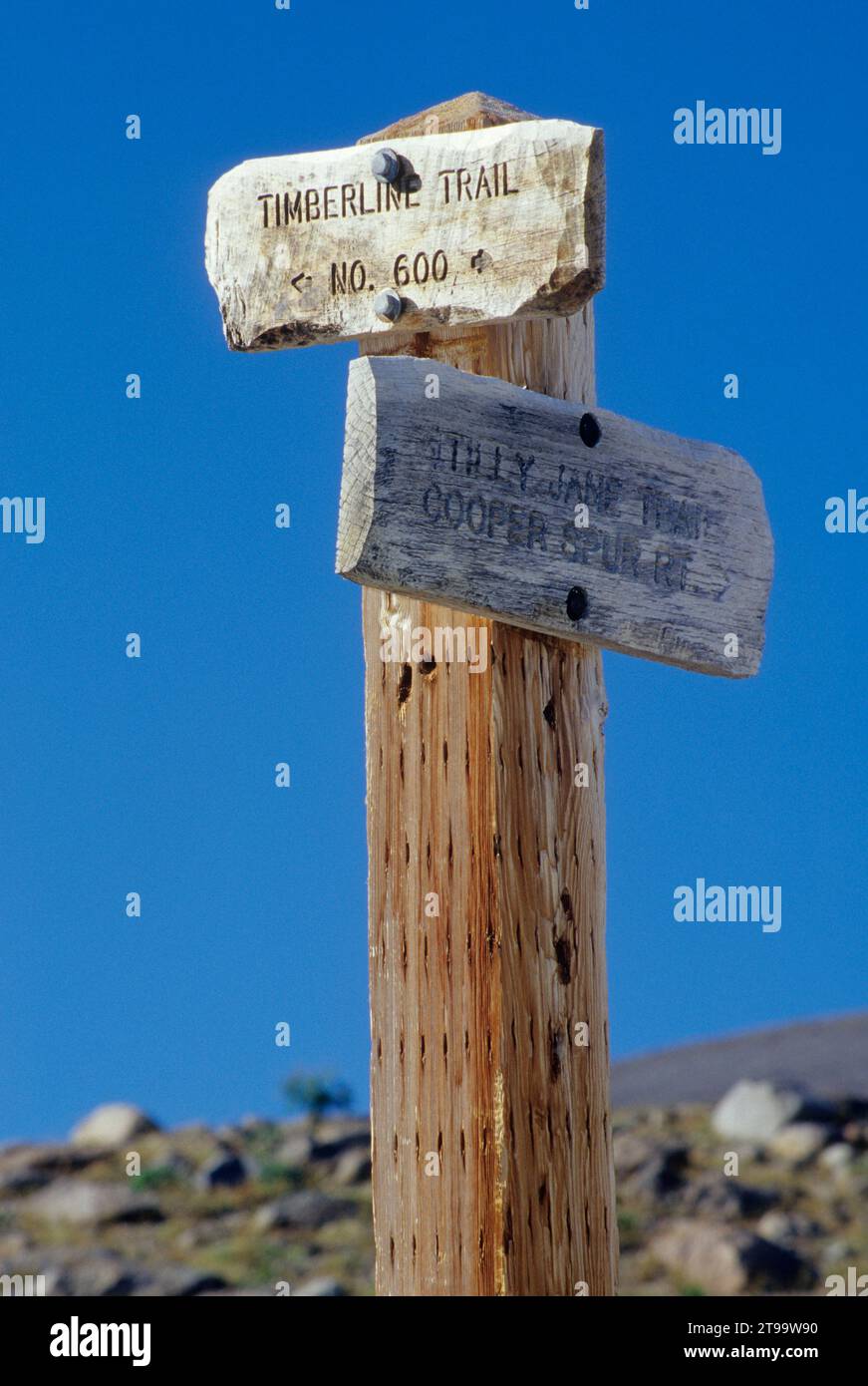 Timberline Trail sign, Mt Hood Wilderness, Mt Hood National Forest ...