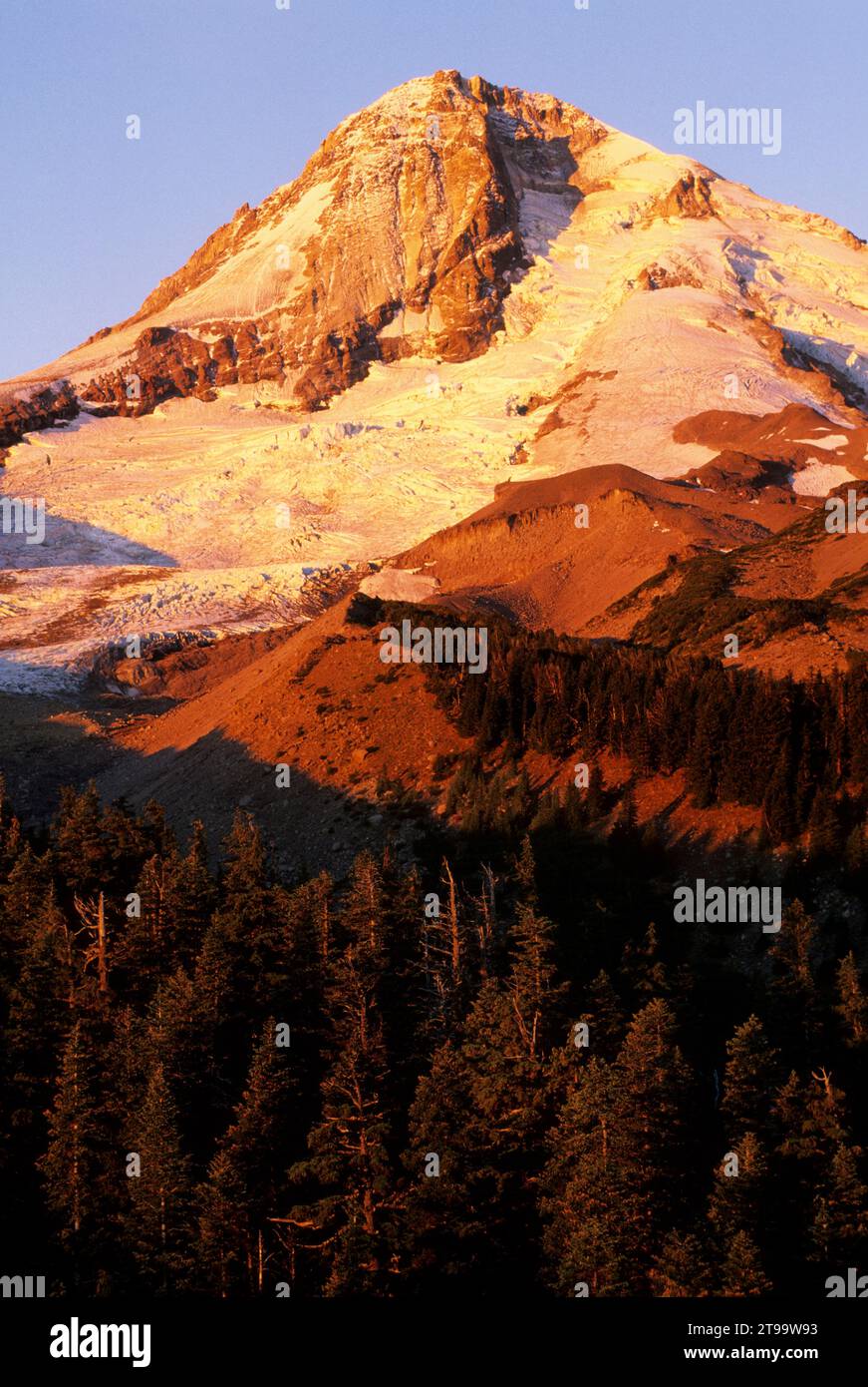 Mt Hood from Cloud Cap, Mt Hood National Forest, Oregon Stock Photo - Alamy