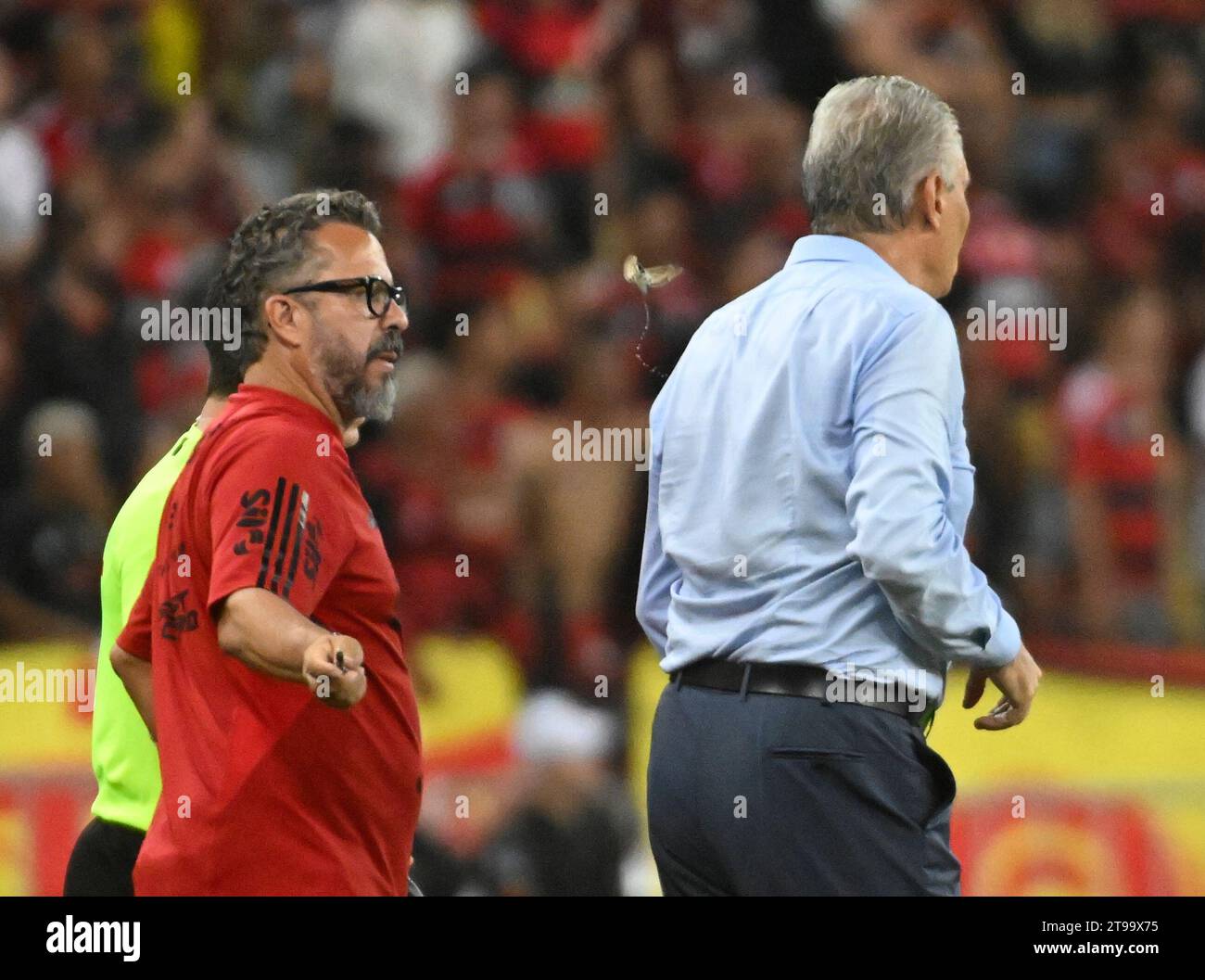Rio de Janeiro-Brazil, November 23, 2023, Flamengo coach Tite with a ...