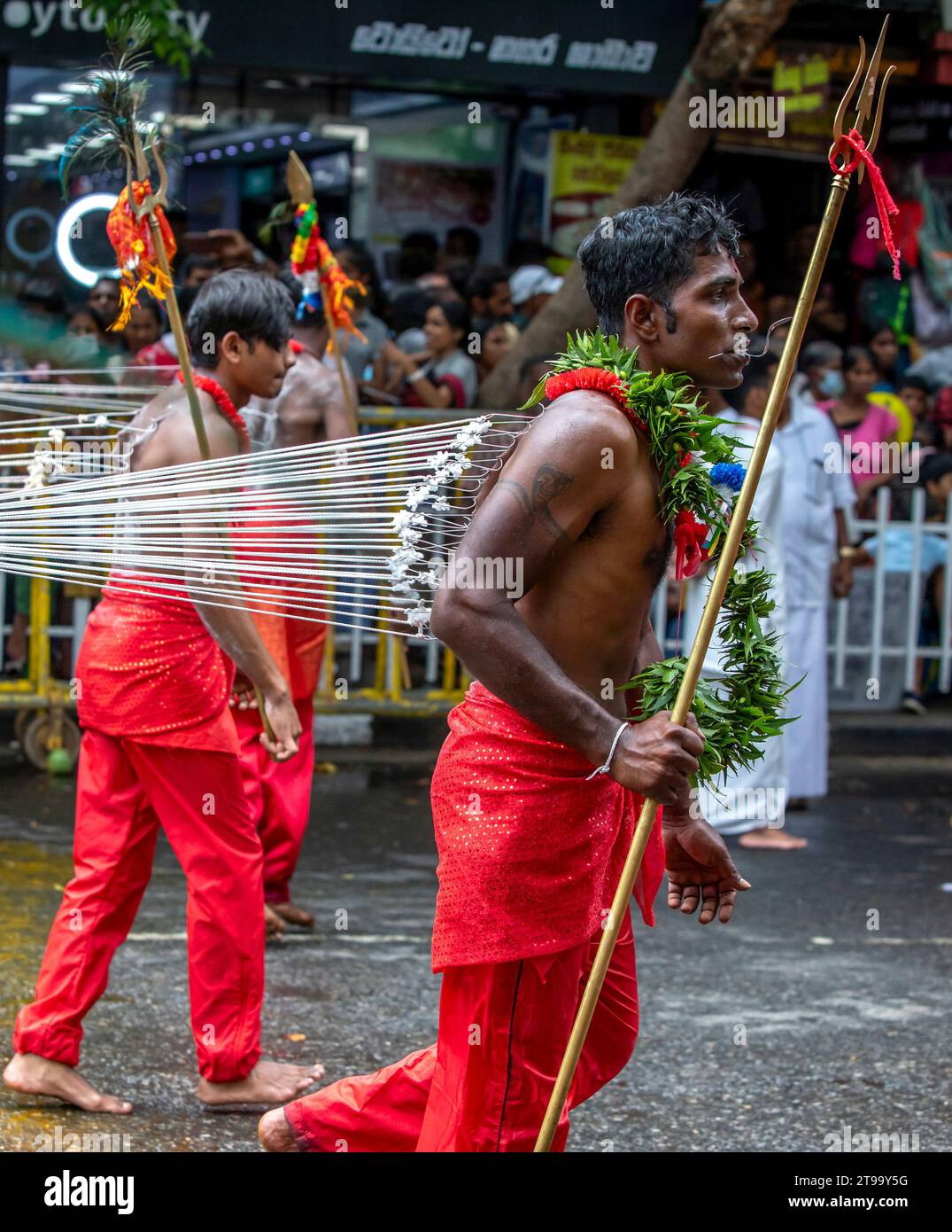 Hindu Kavadi Dancers with hooks piercing their skin perform along the ...