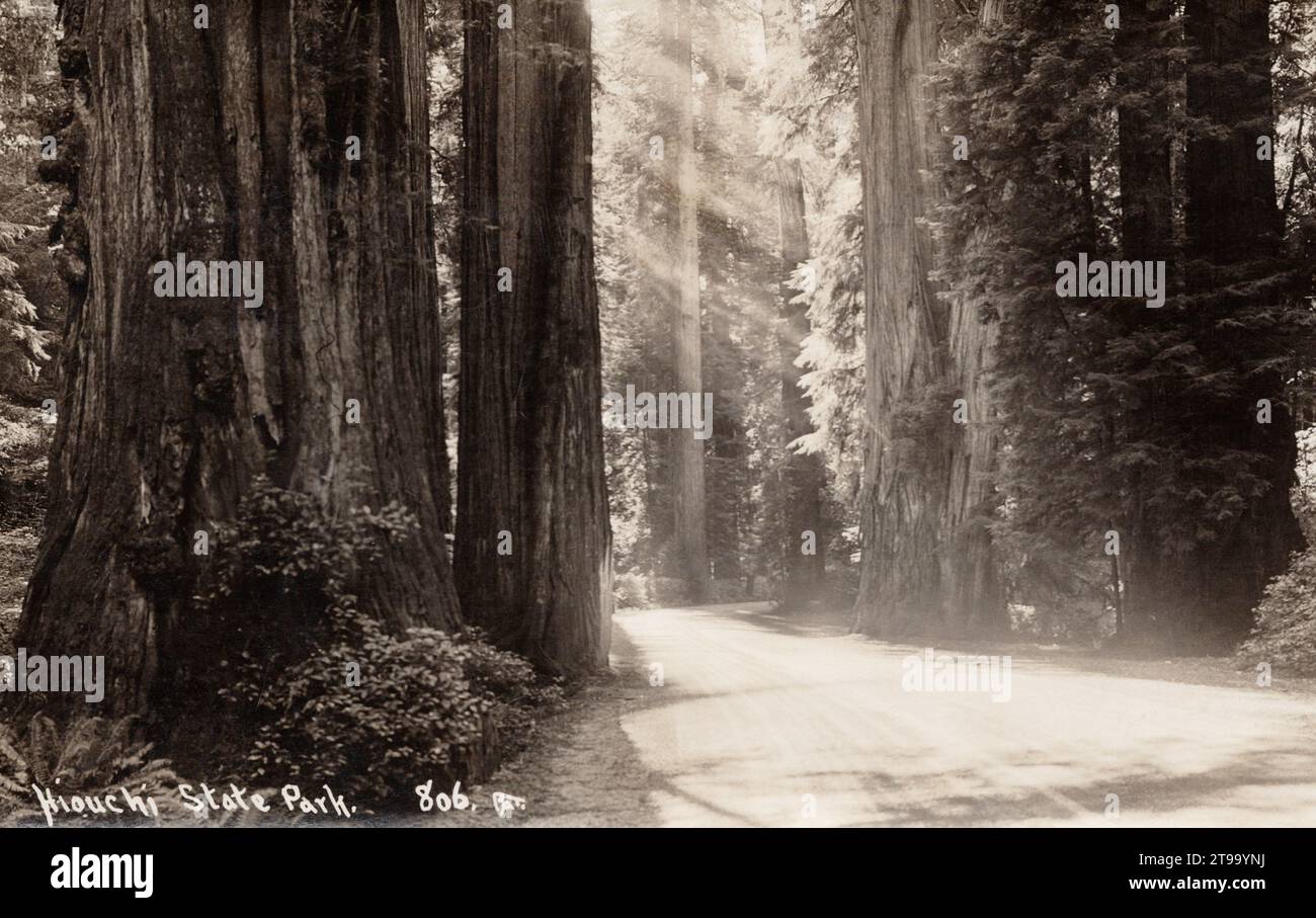 Hiouchi State Park, California USA, approx 1920s-30s postcard ...