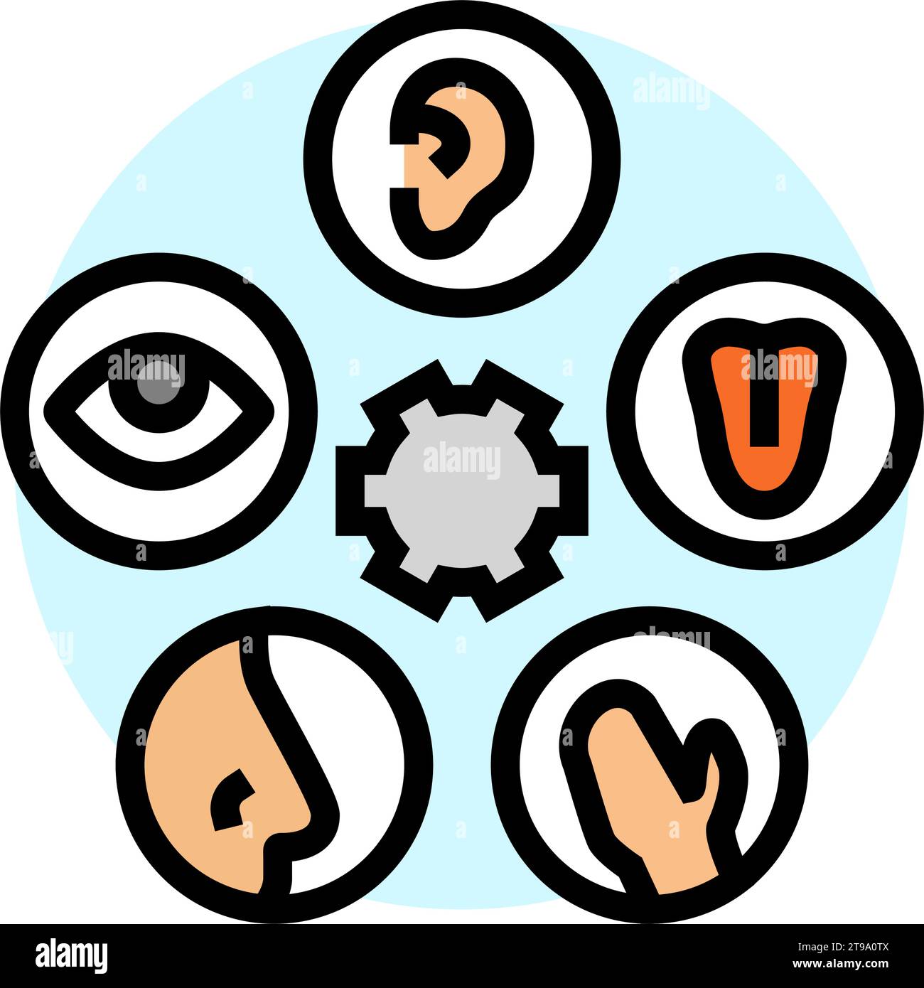 sensory integration occupational therapist color icon vector ...