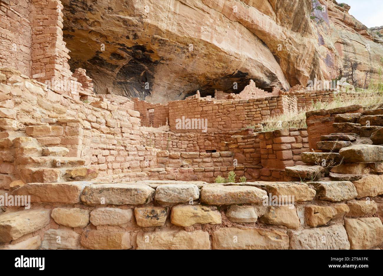 The incredible Long House cliff dwelling at Mesa Verde National Park ...