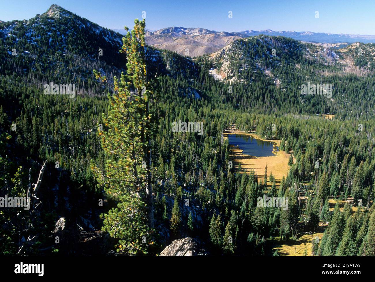 Pond at headwaters of Crawfish Creek from Elkhorn Crest Trail, North ...