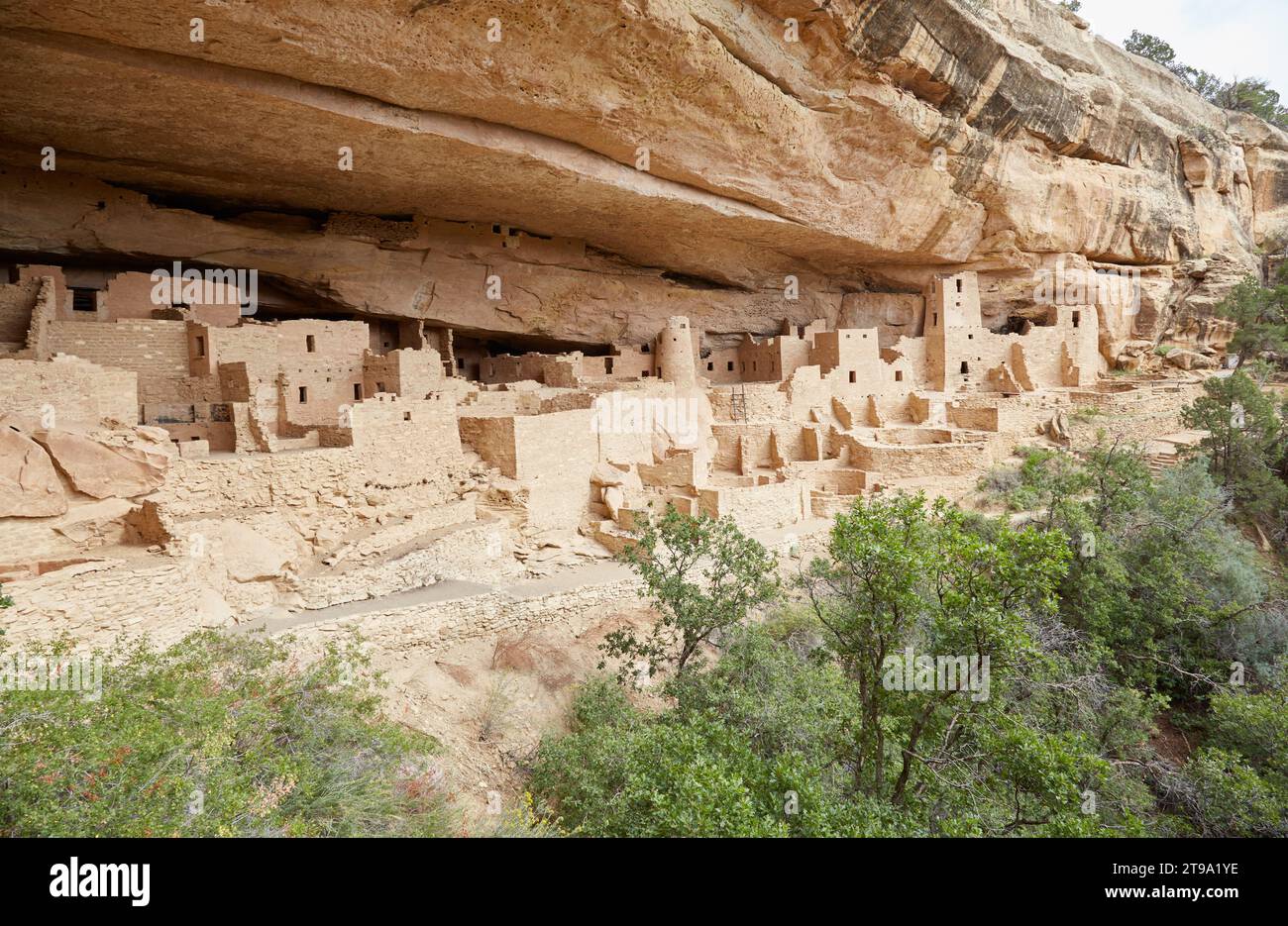 The stunning Cliff Palace of Mesa Verde National Park, Colorado Stock ...