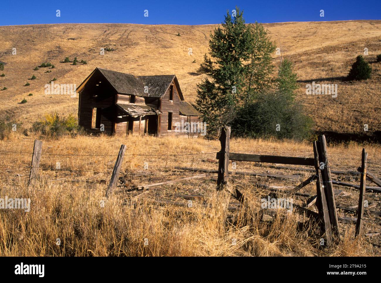 Abandoned ranchhouse north of Enterprise, Wallowa County, Oregon Stock ...