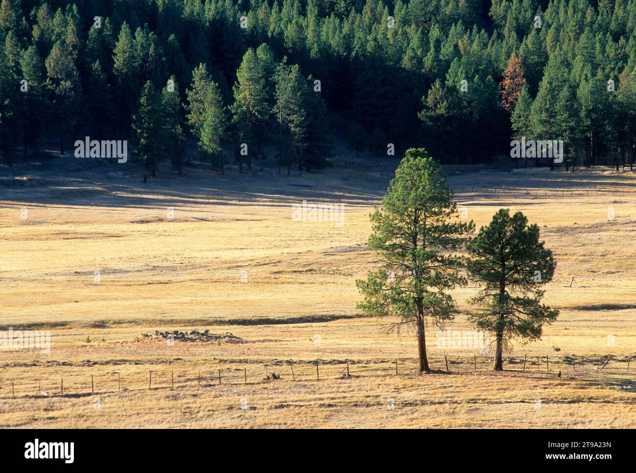 Meadow at Austin Junction, Journey through Time National Scenic Byway ...