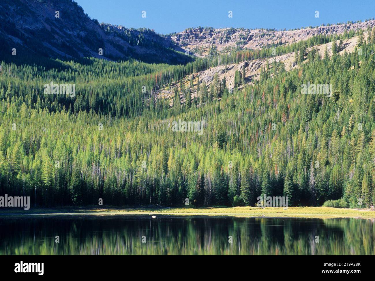 Strawberry Lake, Strawberry Mountain Wilderness, Malheur National ...