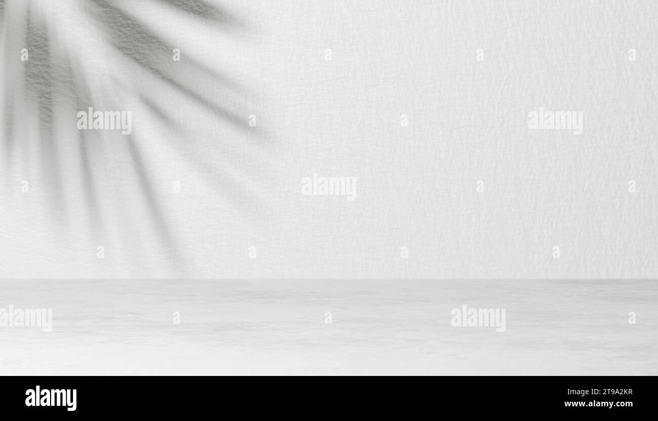 Minimal product placement background with palm shadow on plaster wall ...