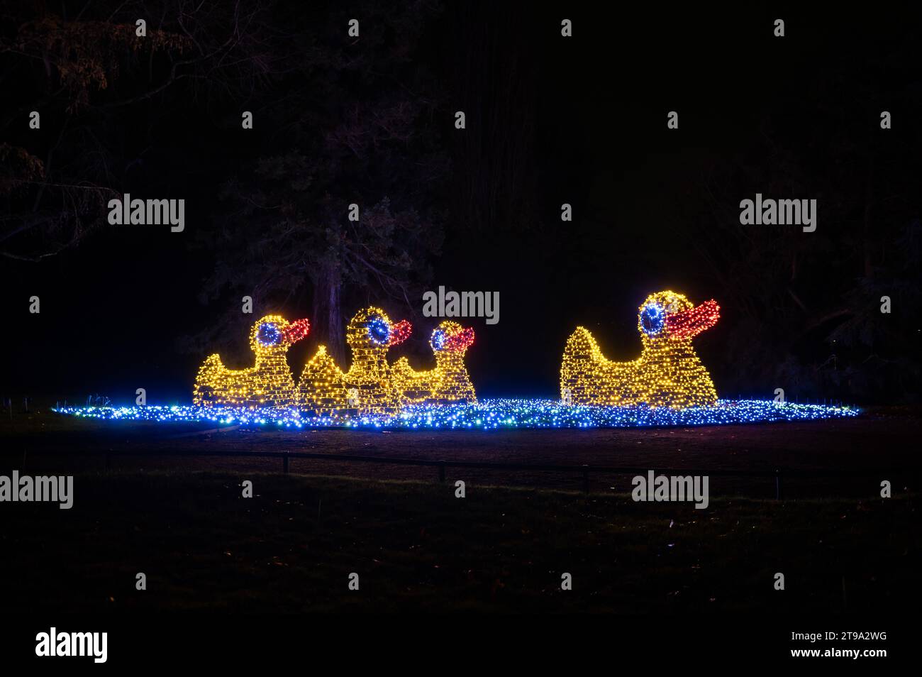 Mainau, Germany. 22nd Nov, 2023. A wire mesh in the shape of ducks ...