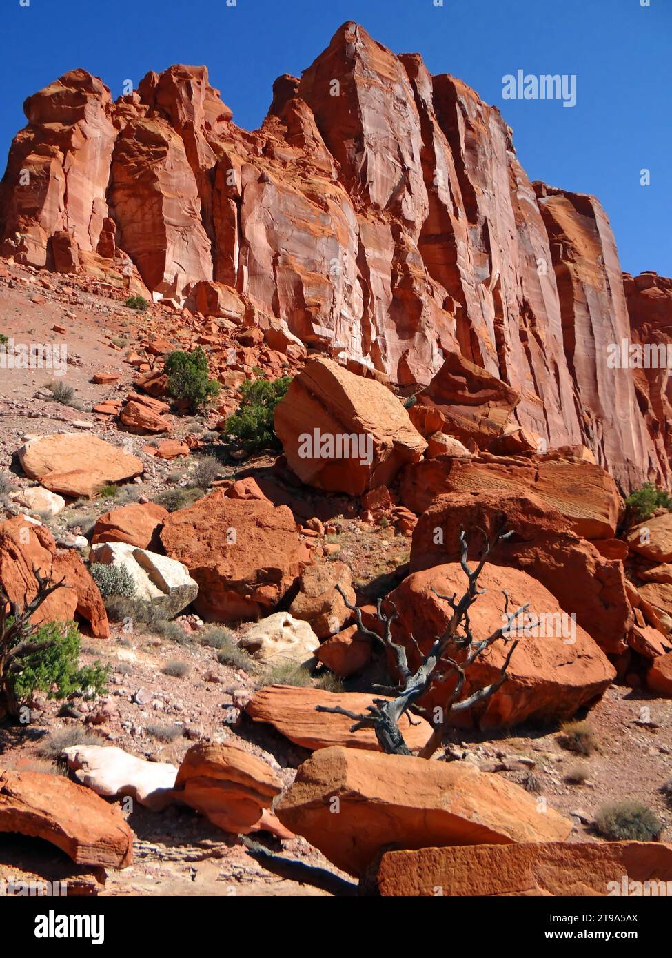 red rock cliffs along chimney rock trail on a sunny fall day in capitol ...