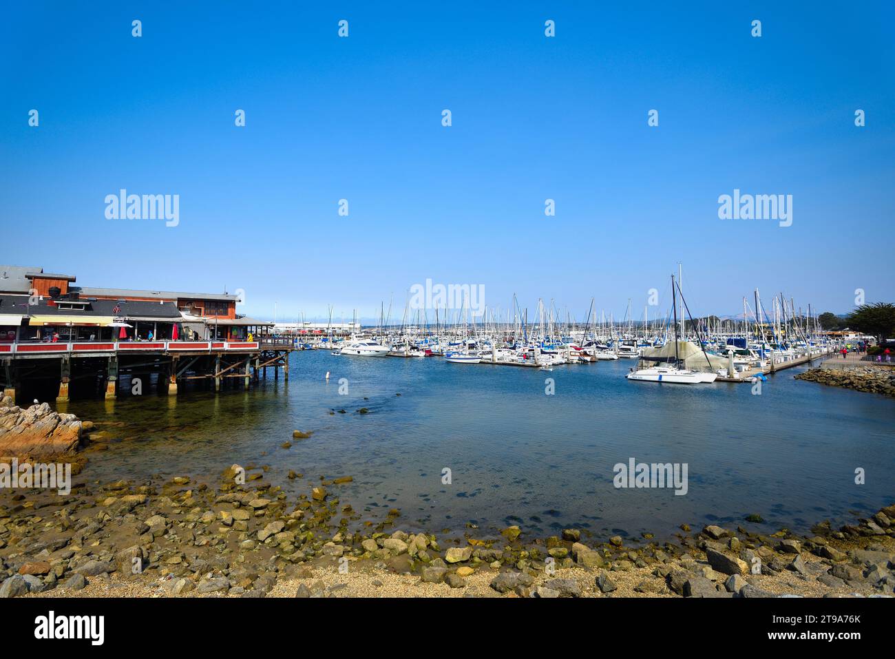 Boats at Monterey Marina by the Old Fisherman's Wharf - California, USA ...