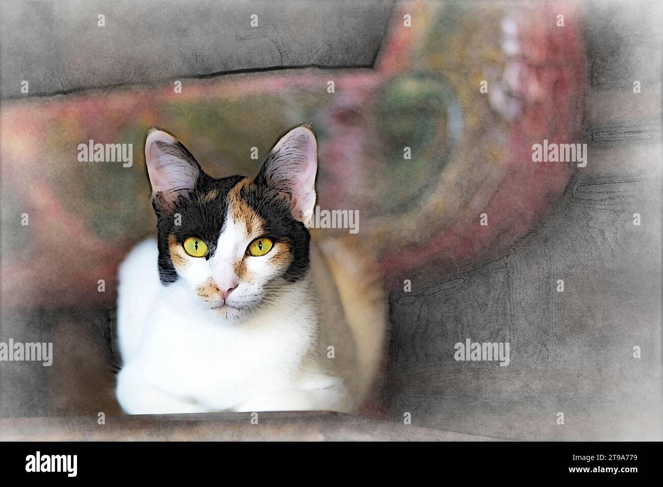 Tucked in paws hi-res stock photography and images - Alamy
