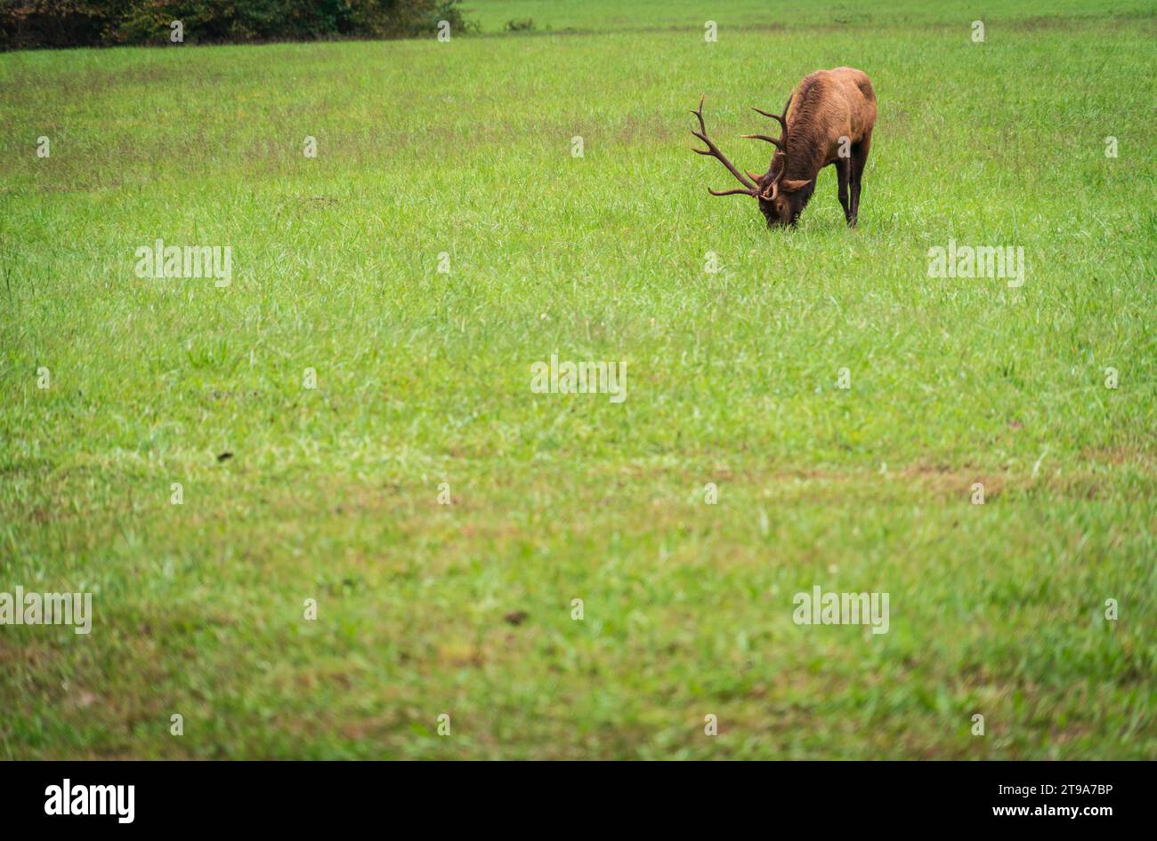 Native american appalachian mountain hi-res stock photography and ...