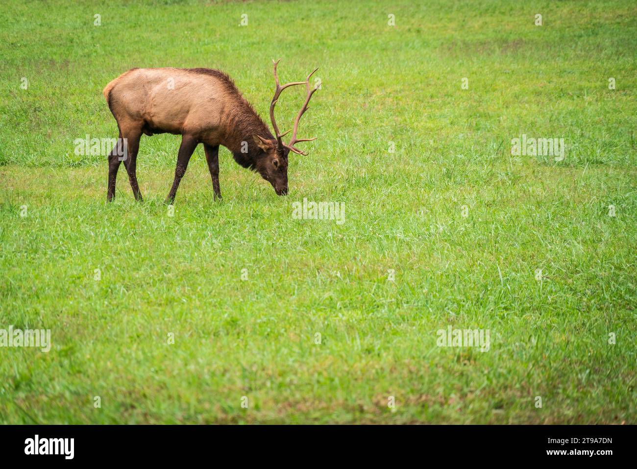 Native american appalachian mountain hi-res stock photography and ...