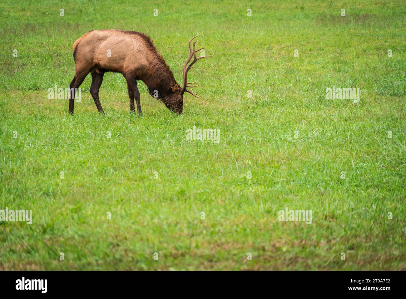 Native american appalachian mountain hi-res stock photography and ...