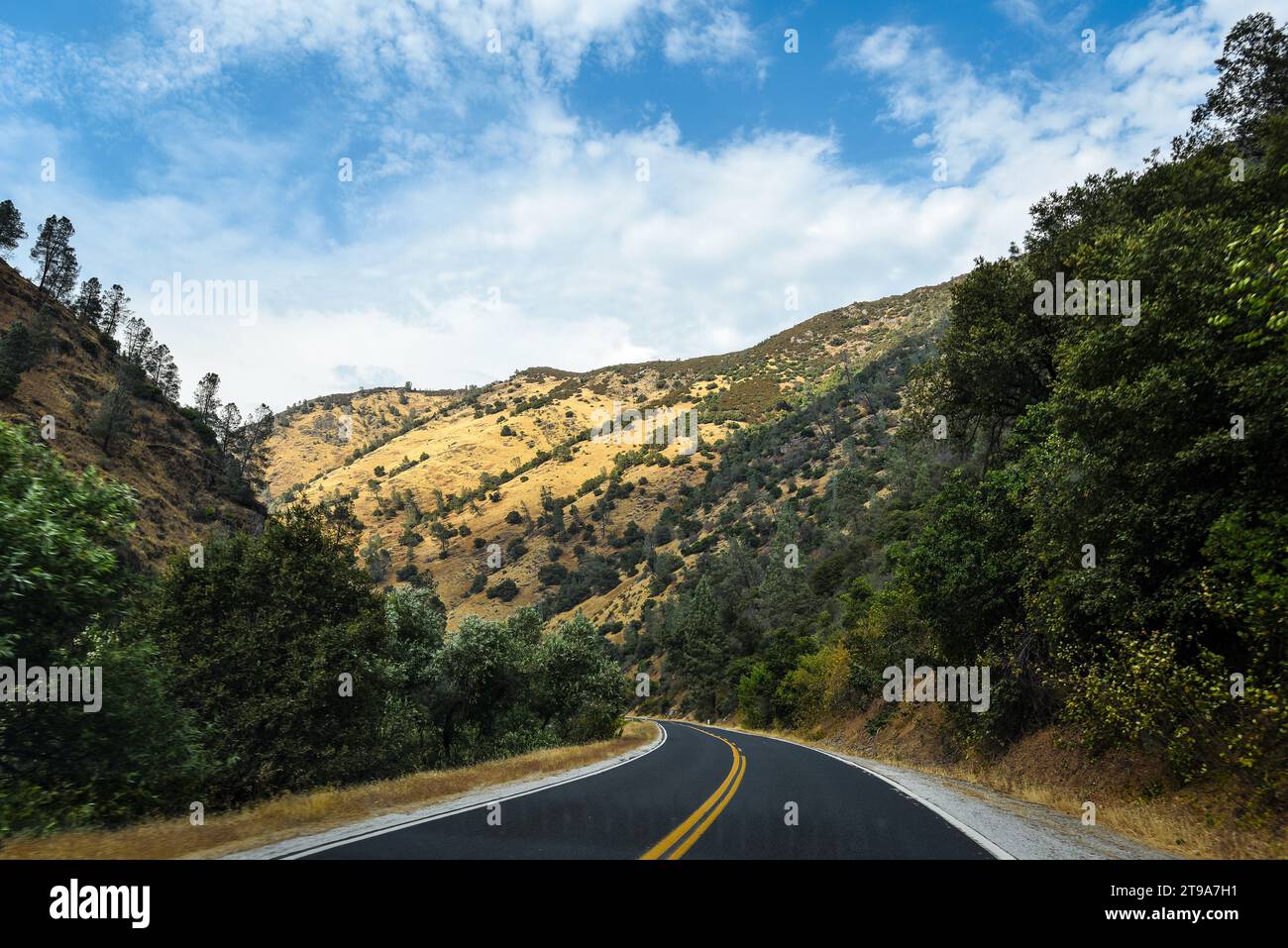 Portal section hi-res stock photography and images - Alamy