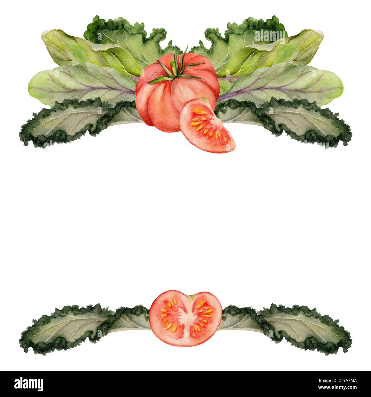Hand drawn watercolor green salad spinach kale leaf tomato for diet ...