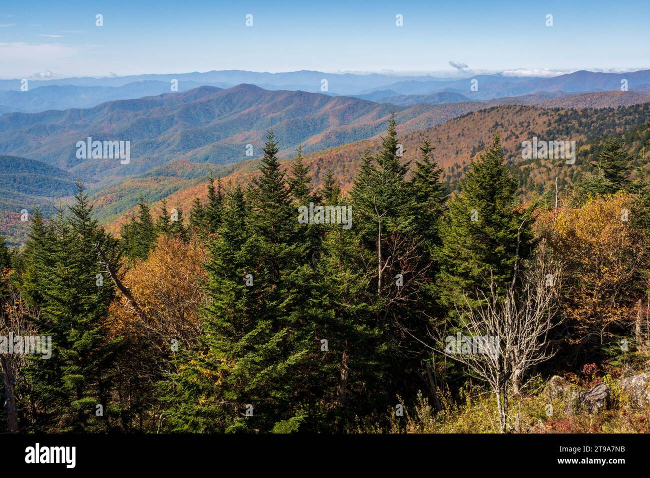 Scenic Overlook at the Great Smoky Mountains National Park in North ...
