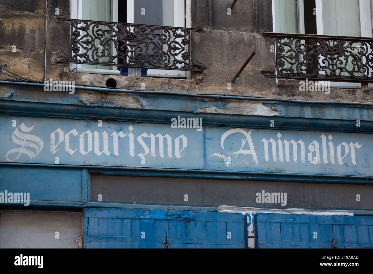 Secourisme animalier french text facade sign for Animal first aid ...