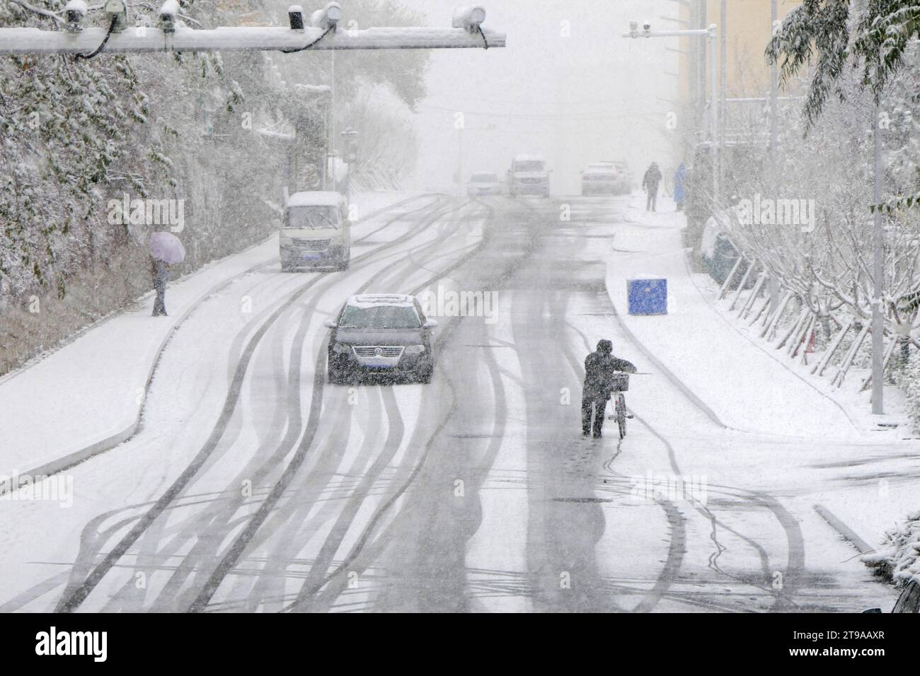 YANTAI, CHINA - NOVEMBER 24, 2023 - Vehicles travel through snow on the ...