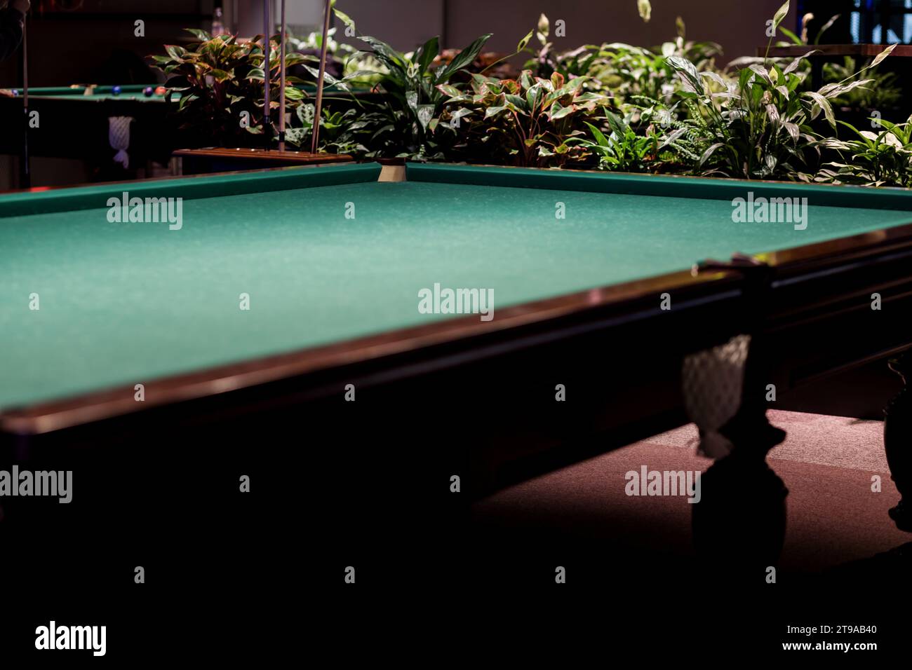 The billiard party hi-res stock photography and images - Alamy
