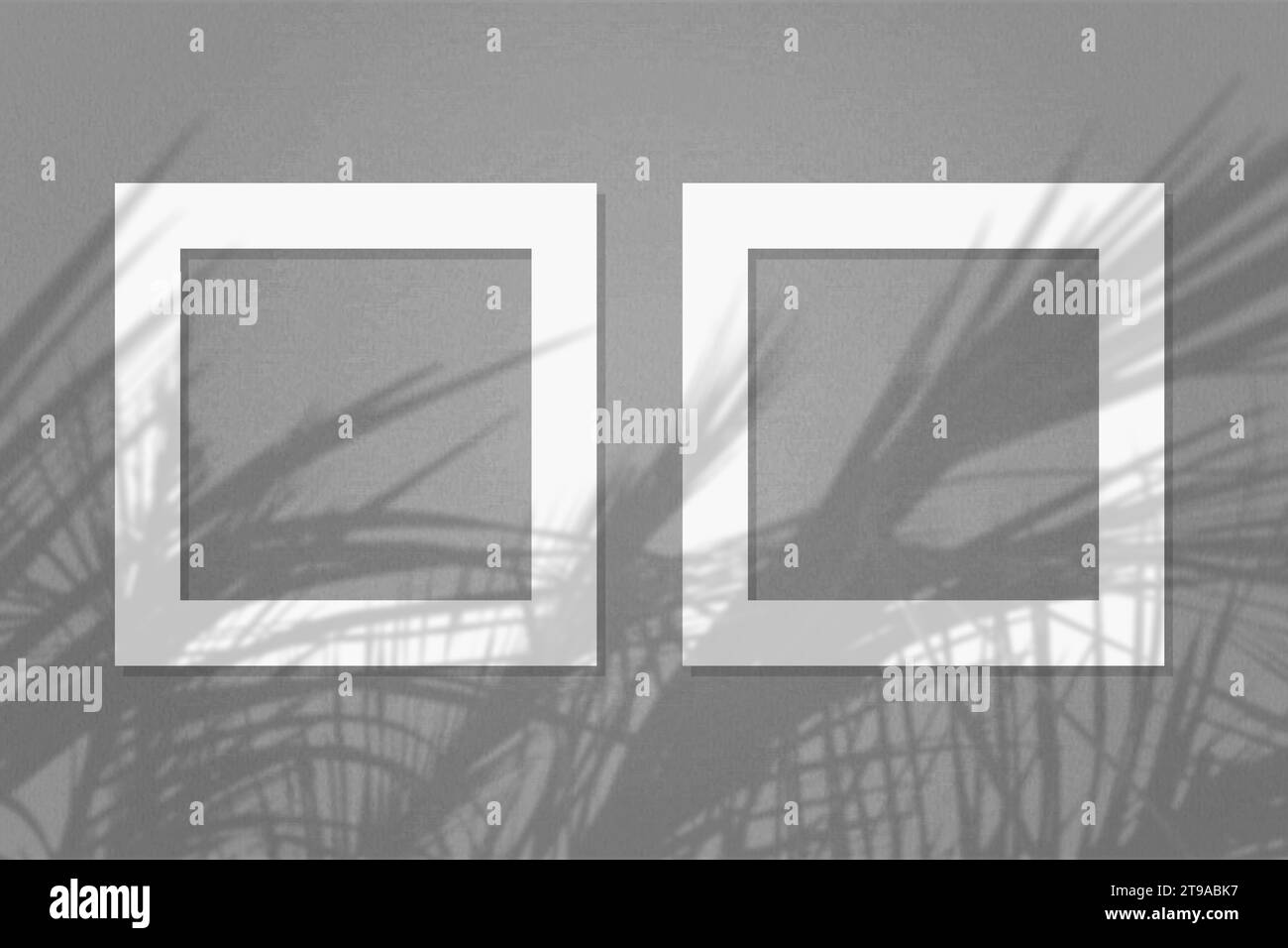 Natural light casts shadows from the leaves of a palm tree on 2 square ...