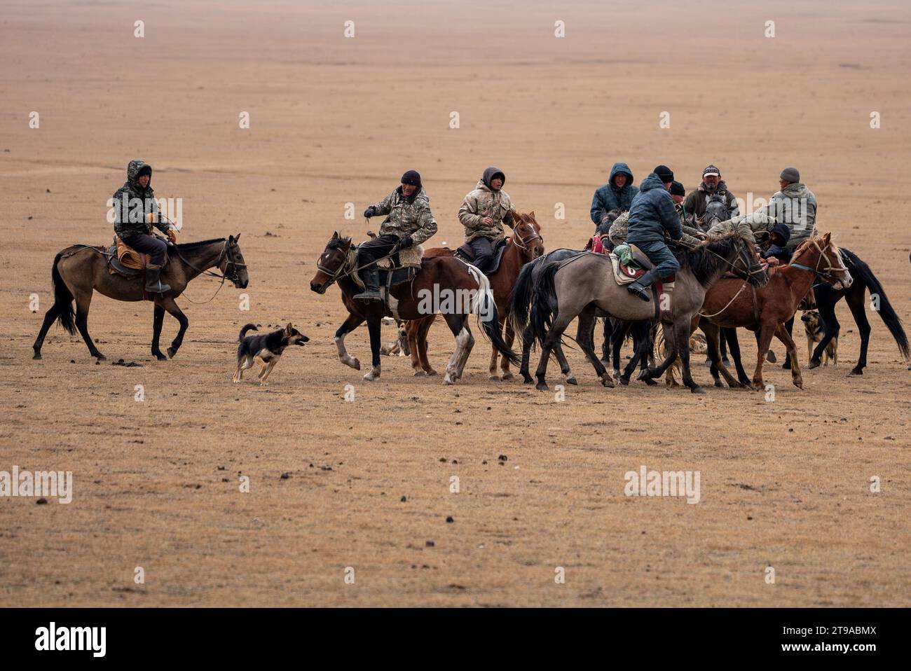 Buzkashi (goat pulling) is the national sport of Afghanistan It is a ...