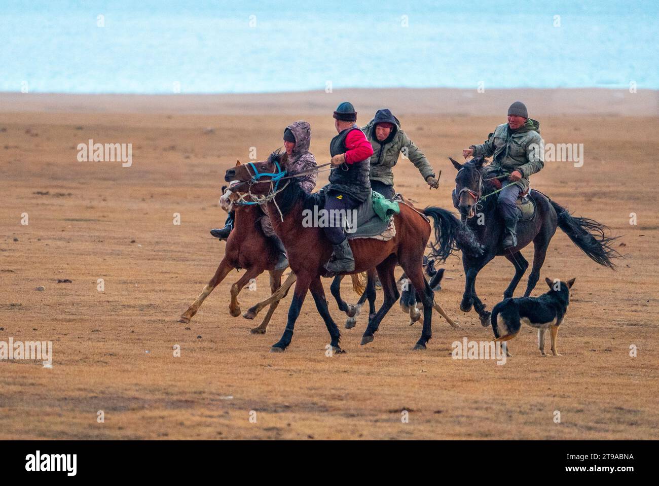 Buzkashi (goat pulling) is the national sport of Afghanistan It is a ...
